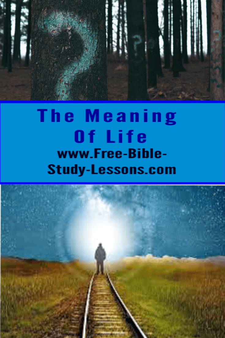 The Meaning Of Life?
